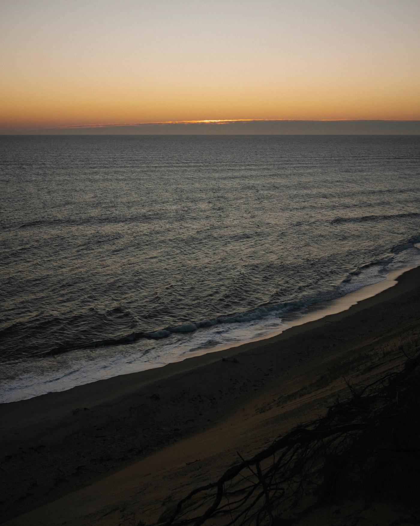 PIN–UP | EXPLORING THE WATER WORLD OF RACHEL CARSON