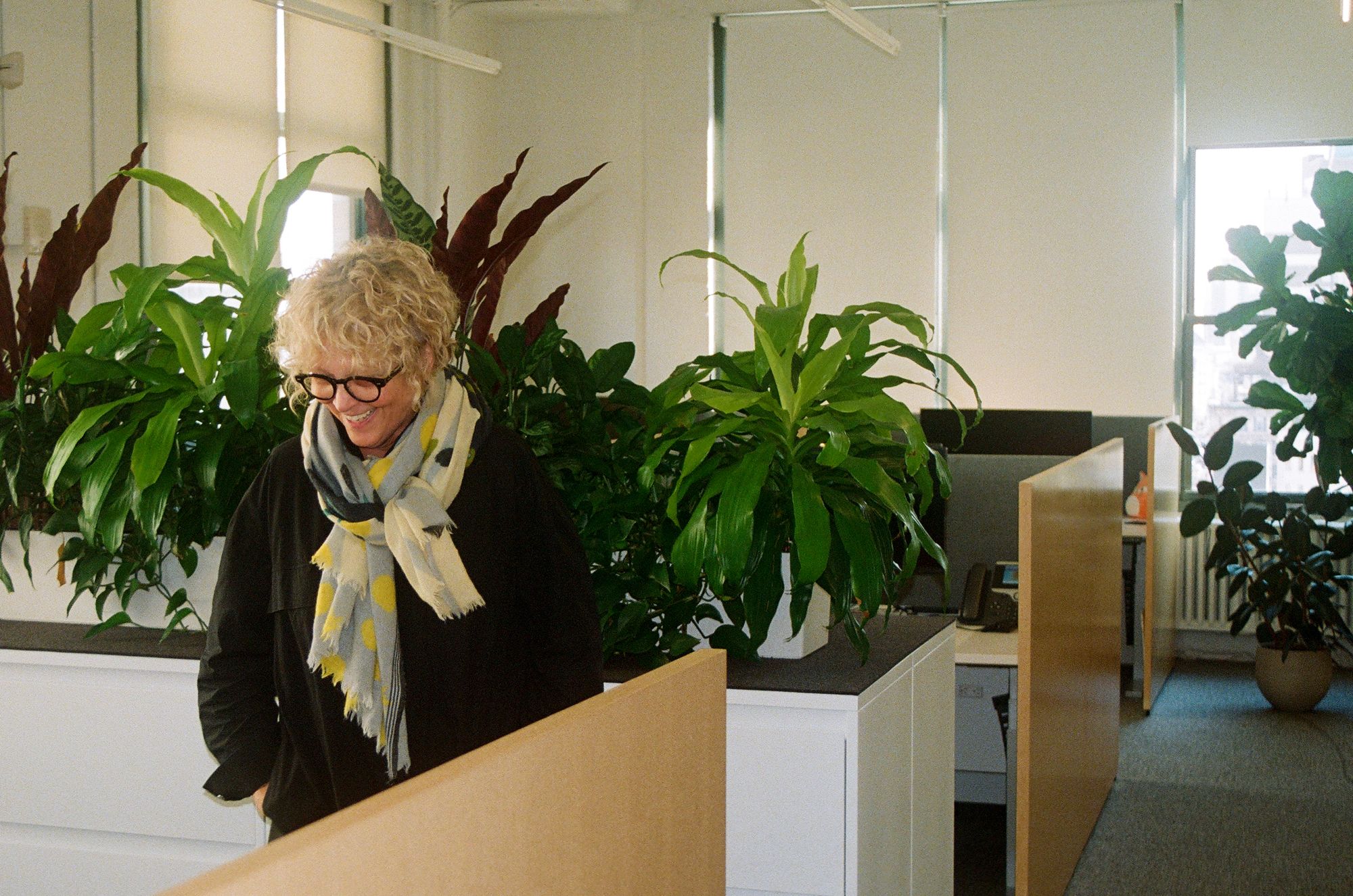 PIN–UP | SUSAN LYONS, TEXTILE INNOVATOR