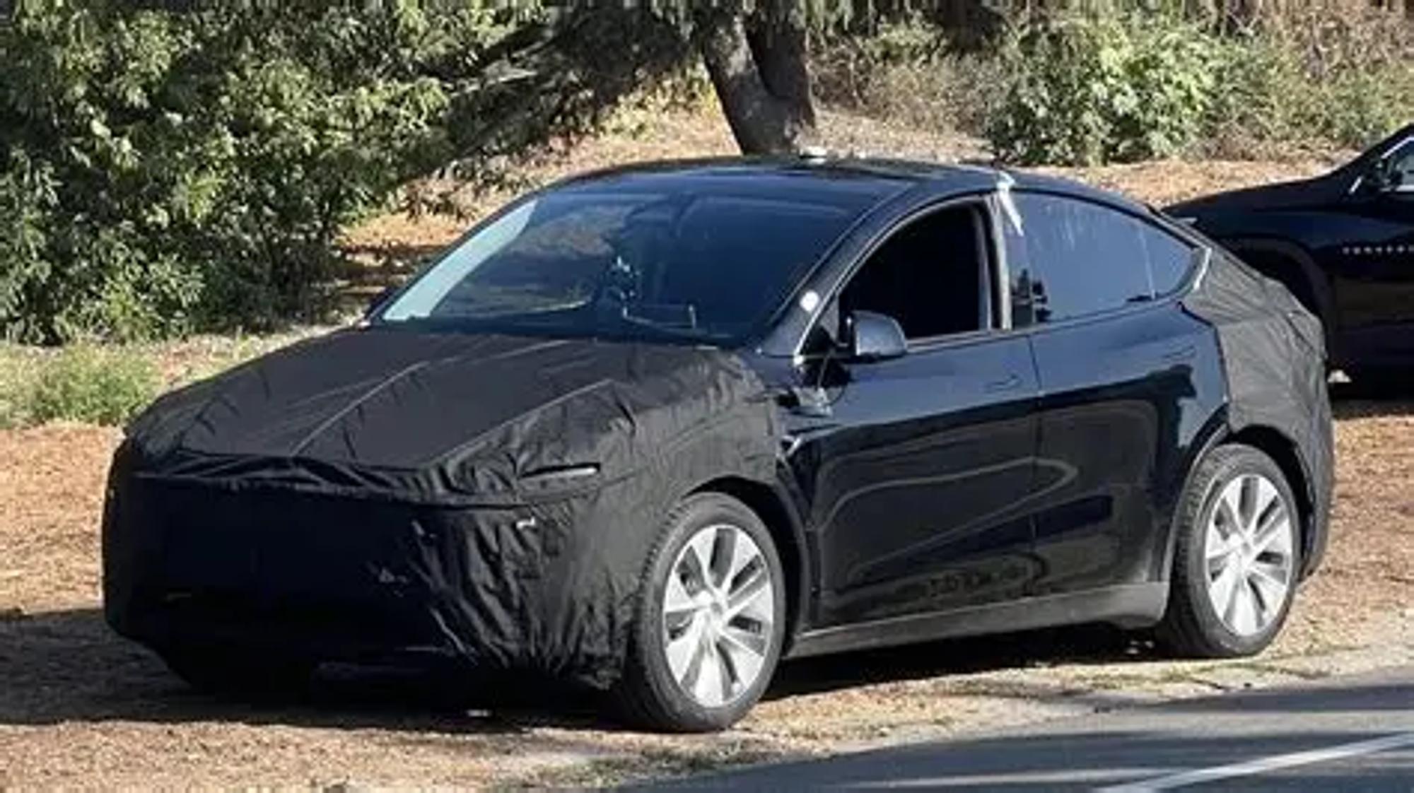 Tesla 6‑Seater Model Y Spotted Testing In The Wild | Zecar | Reviews | News