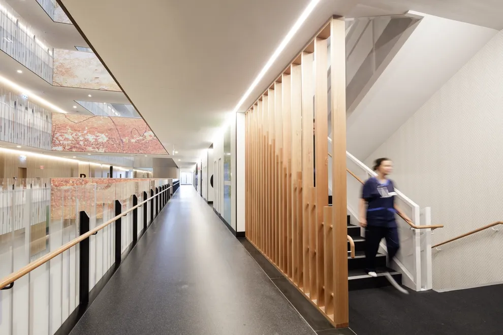 Northern Beaches Hospital — BVN