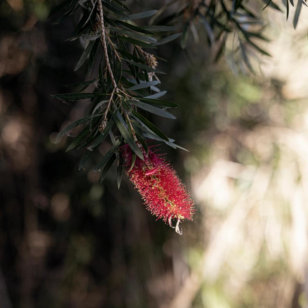 Colleen Hayward | Legacy of Leadership