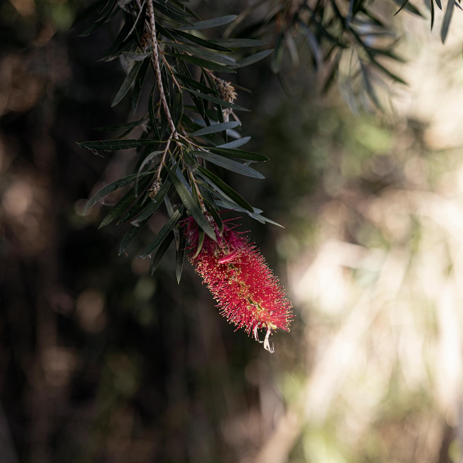 Colleen Hayward | Legacy of Leadership