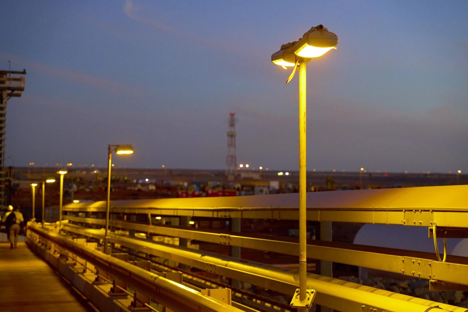 Shining a light on biodiversity at the Onslow Iron project | Iron Ore ...