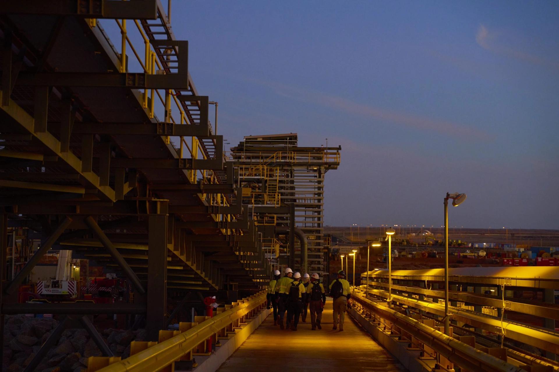 Shining a light on biodiversity at the Onslow Iron project | Iron Ore ...