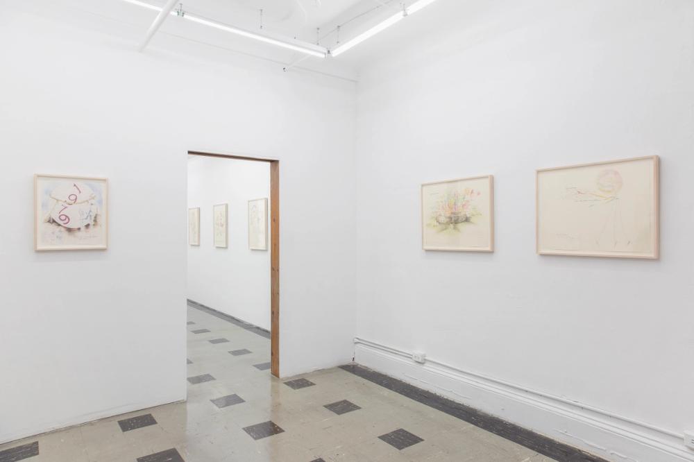 Pleasures and Possible Celebrations: Rosemary Mayer’s Temporary ...