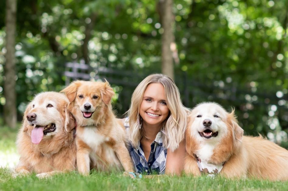 The Best Dogs of Country Music - A List of 15 of the Best | Holler