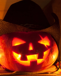 Country Music Playlists & Podcasts| Holler