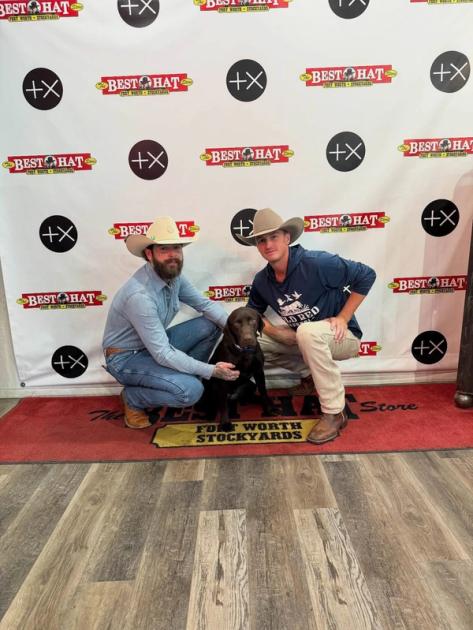 Meet Post Malone's Adorable New Dog, Lewellyn | Holler