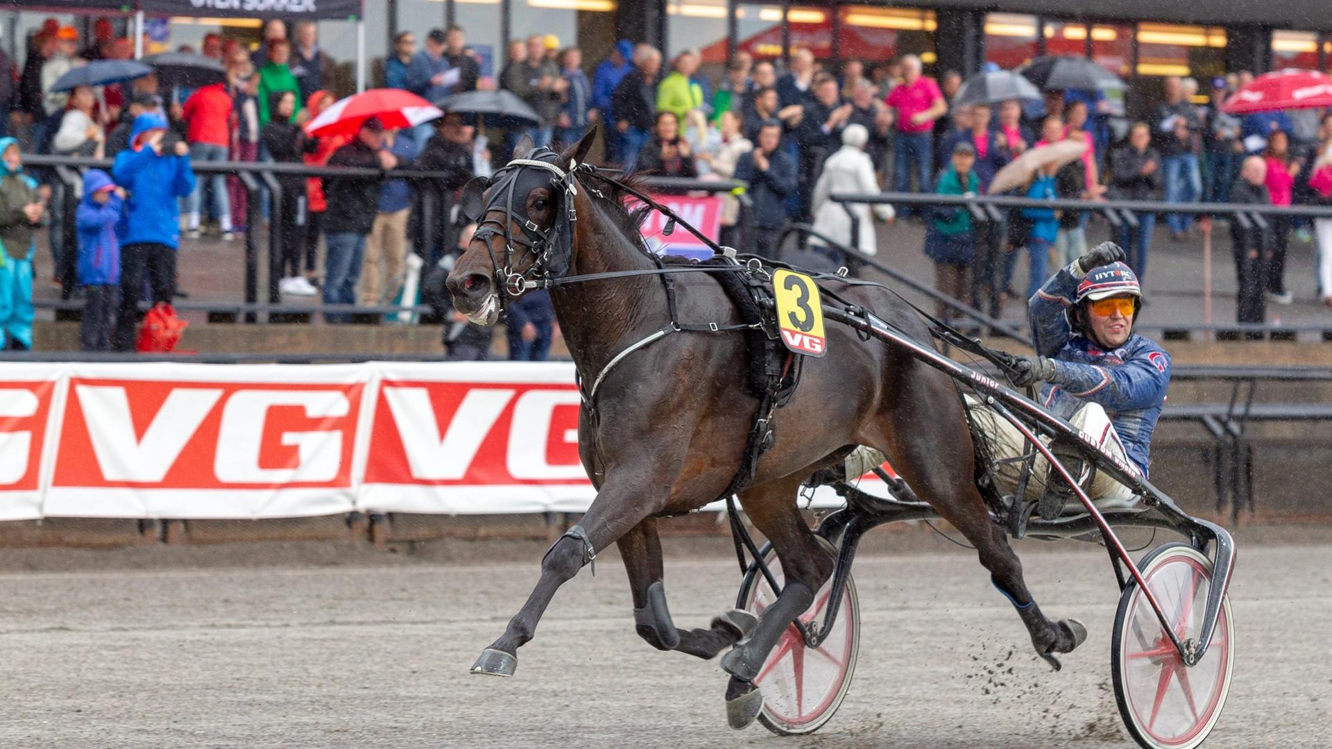 Trav, Rikstoto | Se direkte: V75 fra Forus travbane