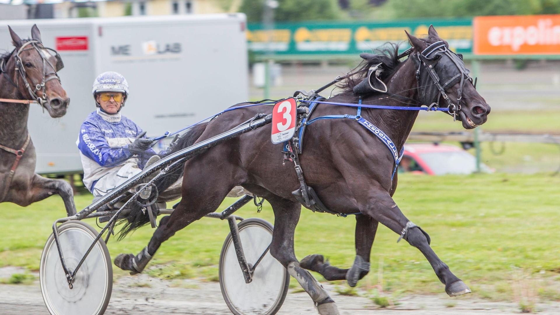 Trav, V75 | Se direkte: V75 fra Bjerke