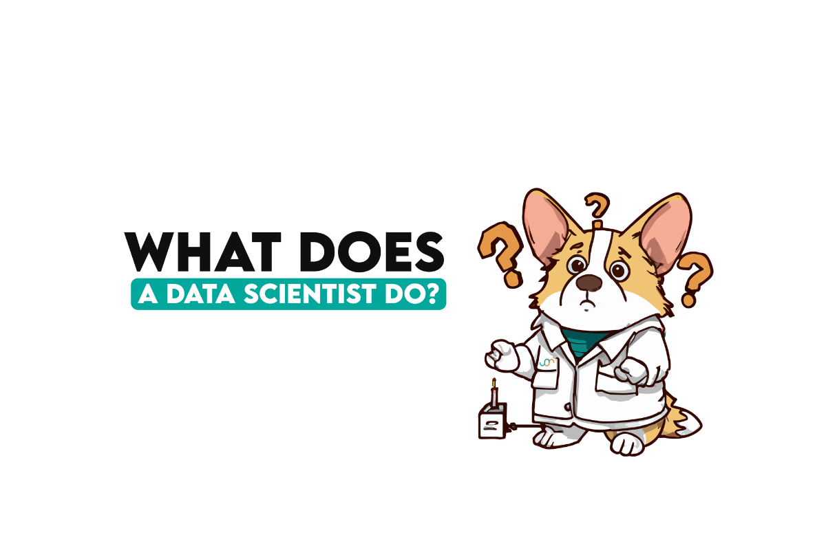 Master Coding for Data Science - StrataScratch