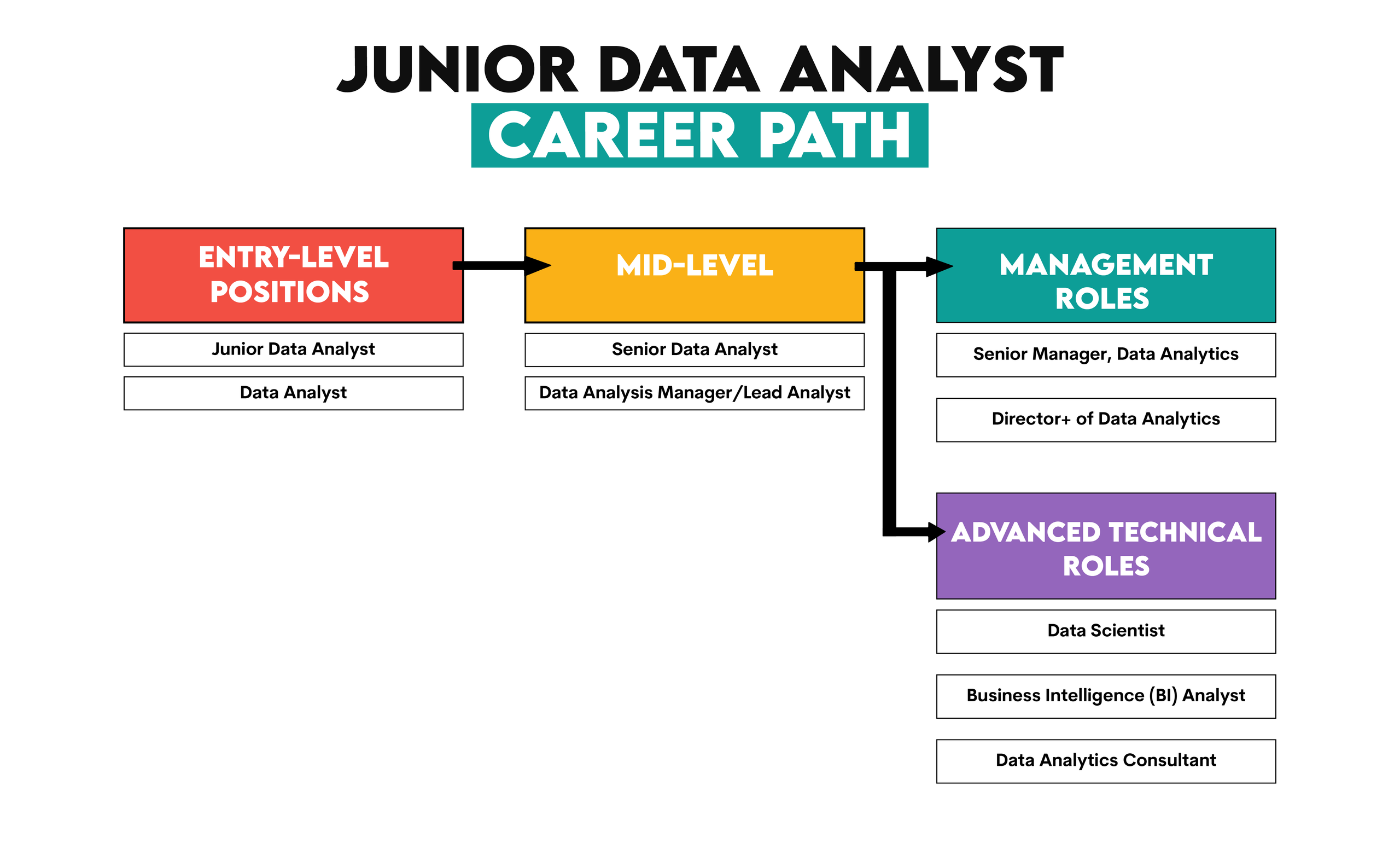 Junior Data Analyst Skills and Career Path - StrataScratch