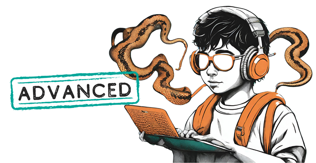 Python Collections Essentials To Advanced Stratascratch