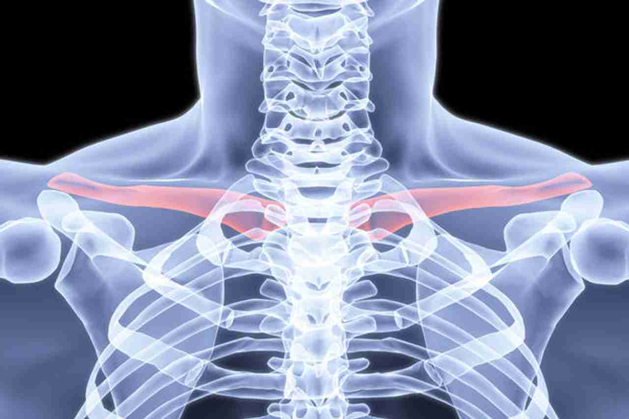 Sternoclavicular (SC), Acromioclavicular (AC), and Scapulothoracic (ST ...
