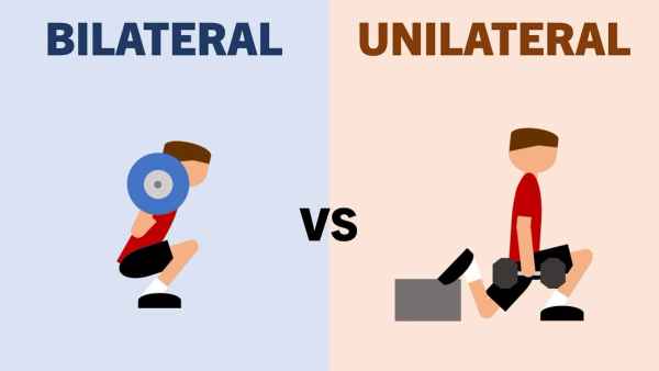 Bilateral - Brookbush Institute