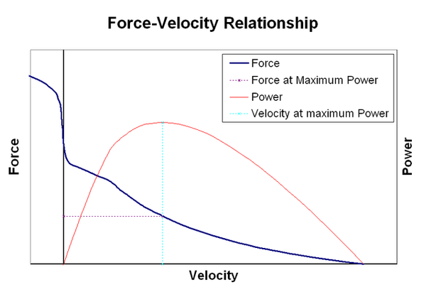 Force Velocity Curve - Brookbush Institute