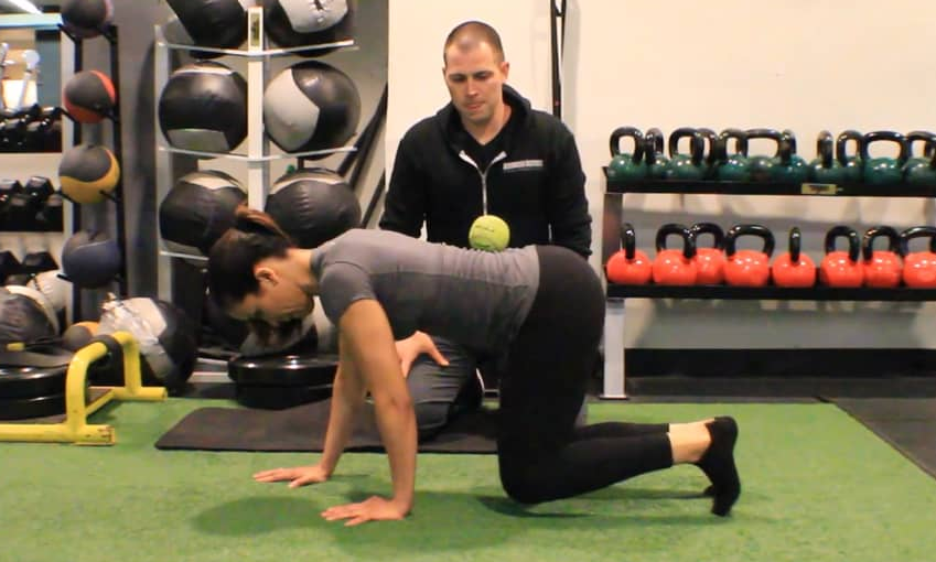 Lumbopelvic Hip Complex Dysfunction (LPHCD) - Brookbush Institute