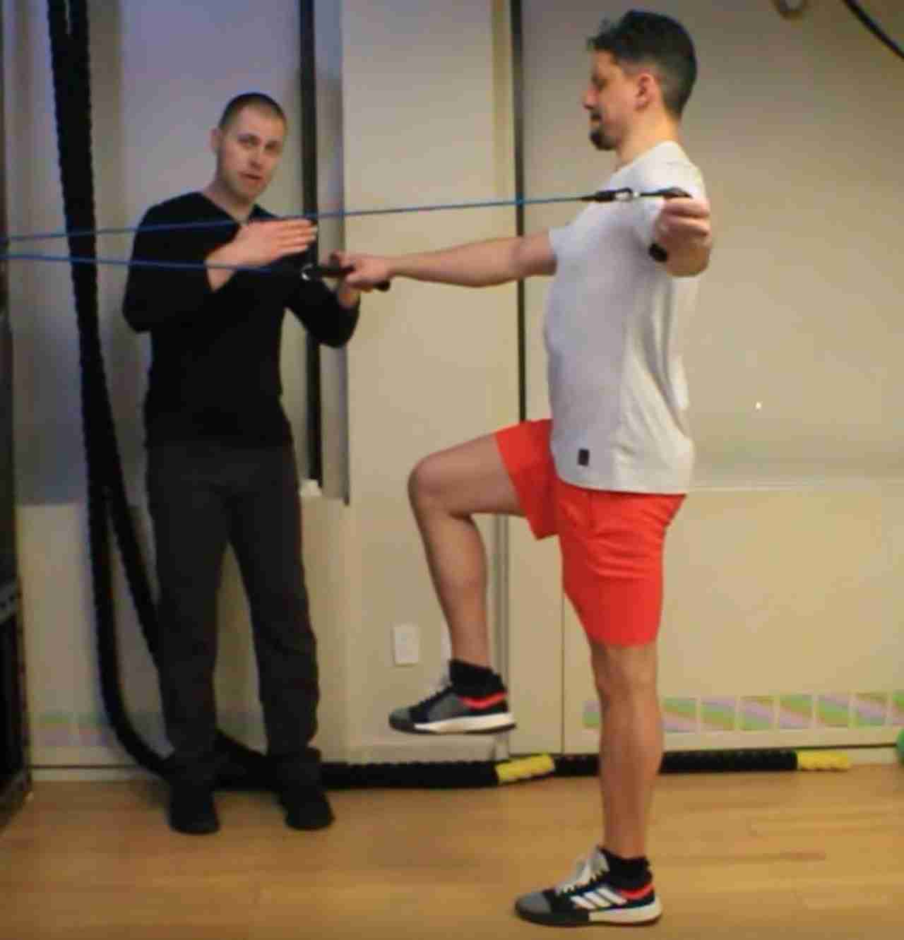 Shoulder Exercise and Shoulder Pressing Progressions - Brookbush Institute