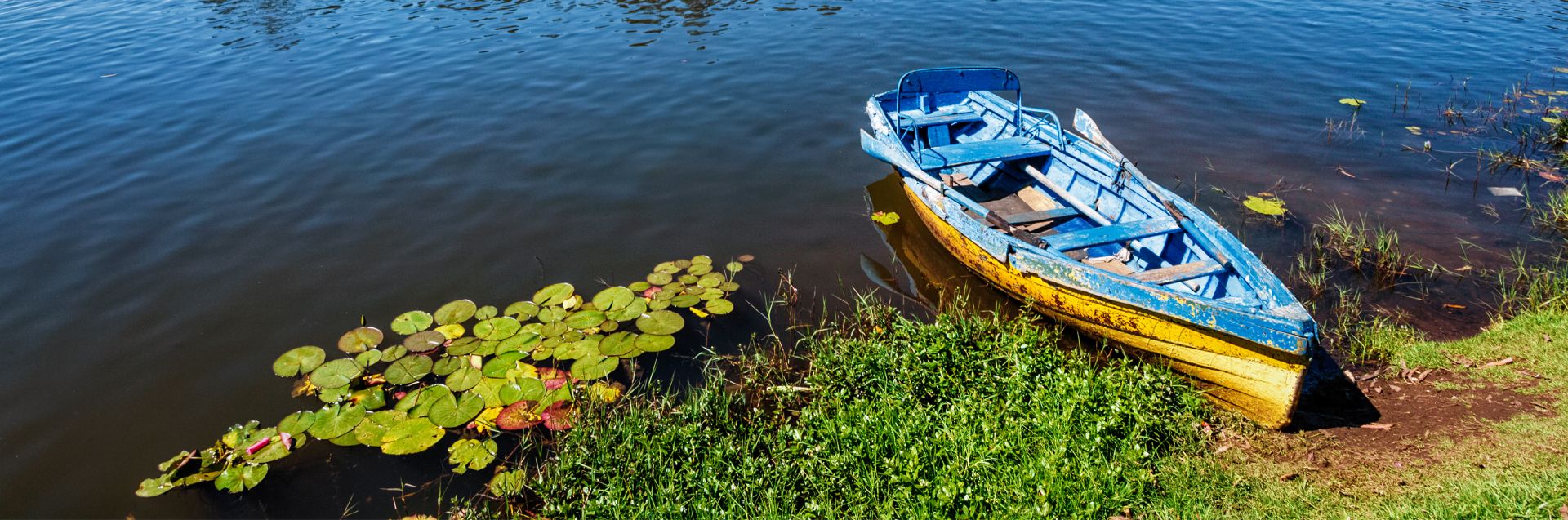 Things to Do in Pantnagar | One Day, Many Adventures