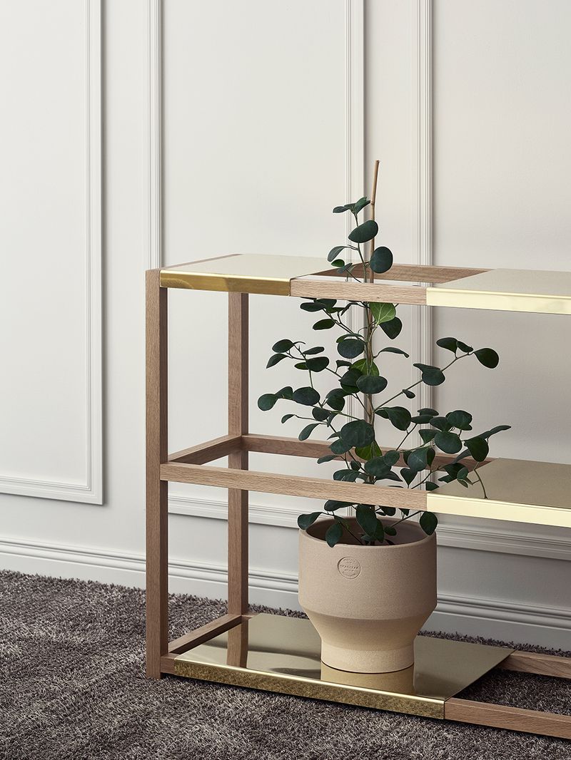 The Botanic Shelf provides an adaptable place for green plants | Design ...
