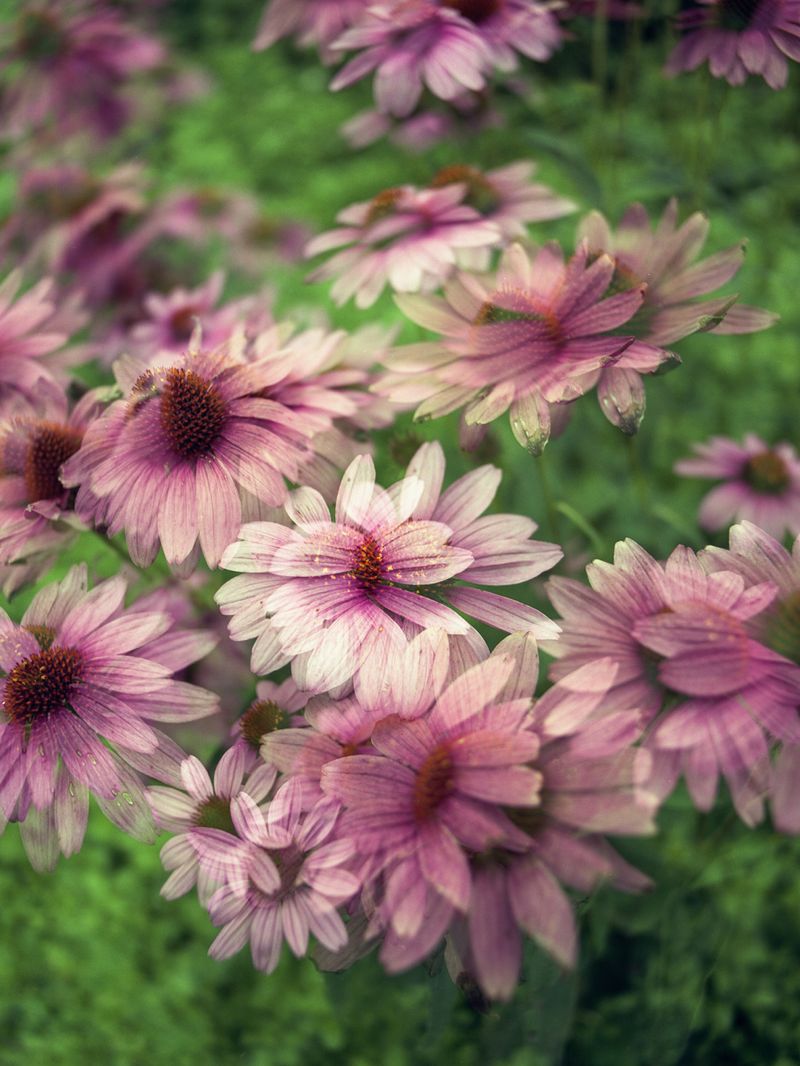 A serene escape by the sea – Inside the weekend home of Giselle Go and ...