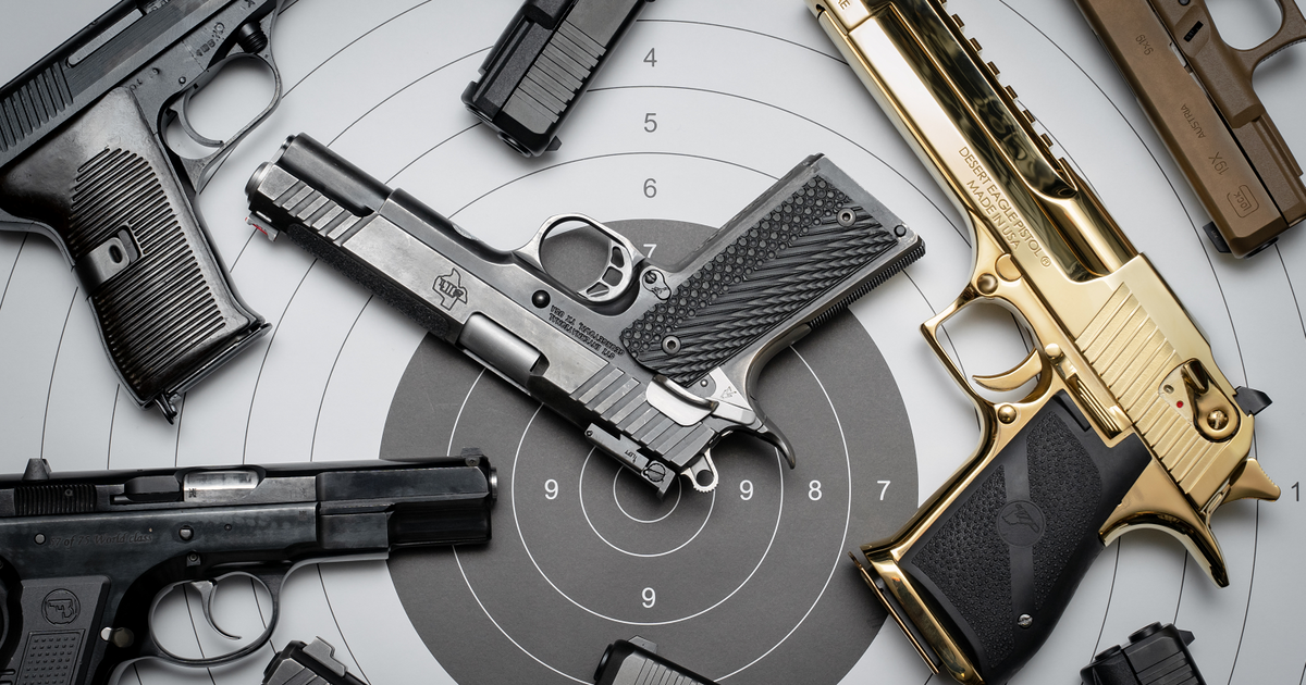 The Rental Gun Case—Your Best Friend on the Range | Biofire
