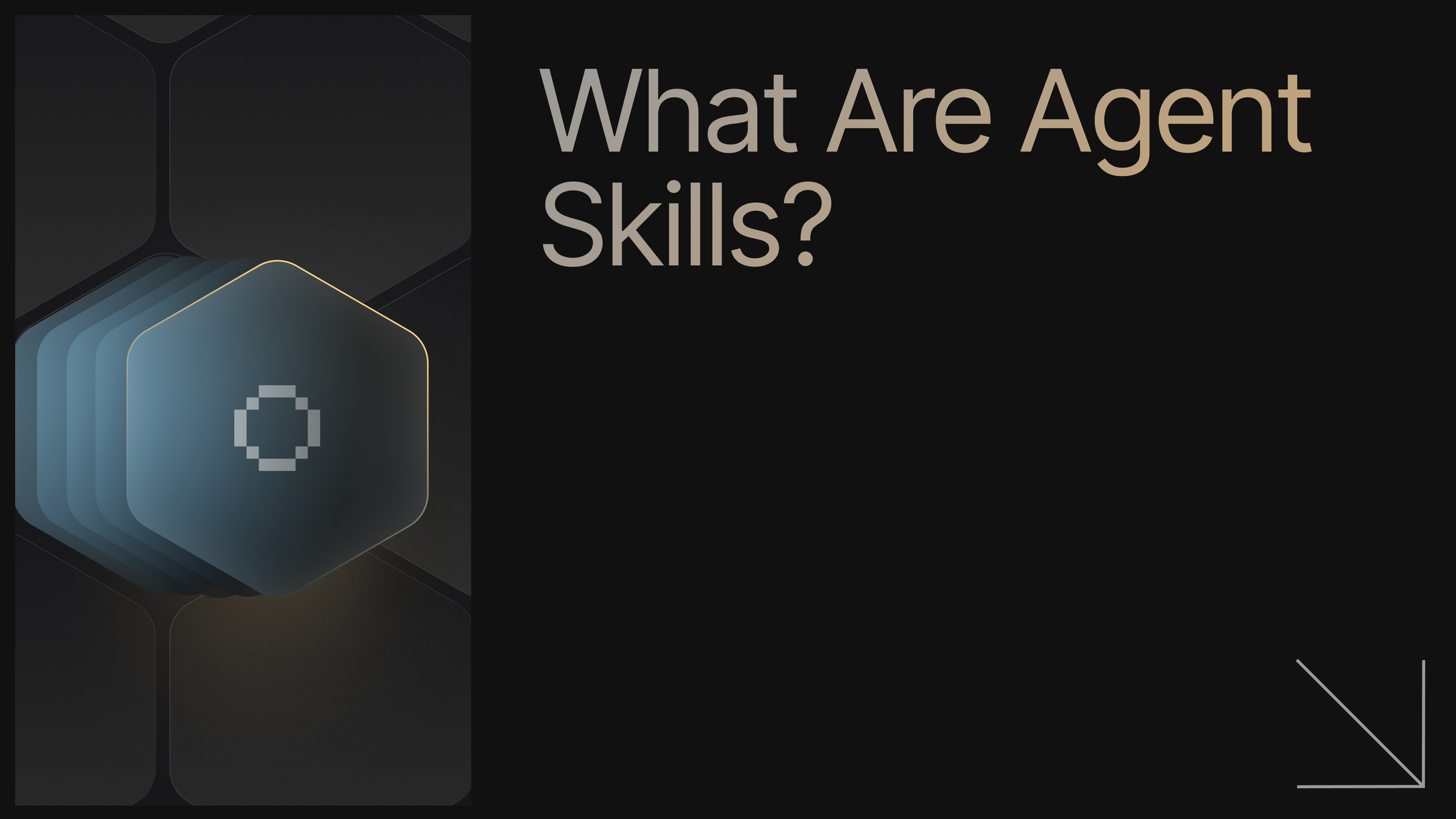 What Are Agent Skills? (And Why You'll Never Want to Push Code Without ...