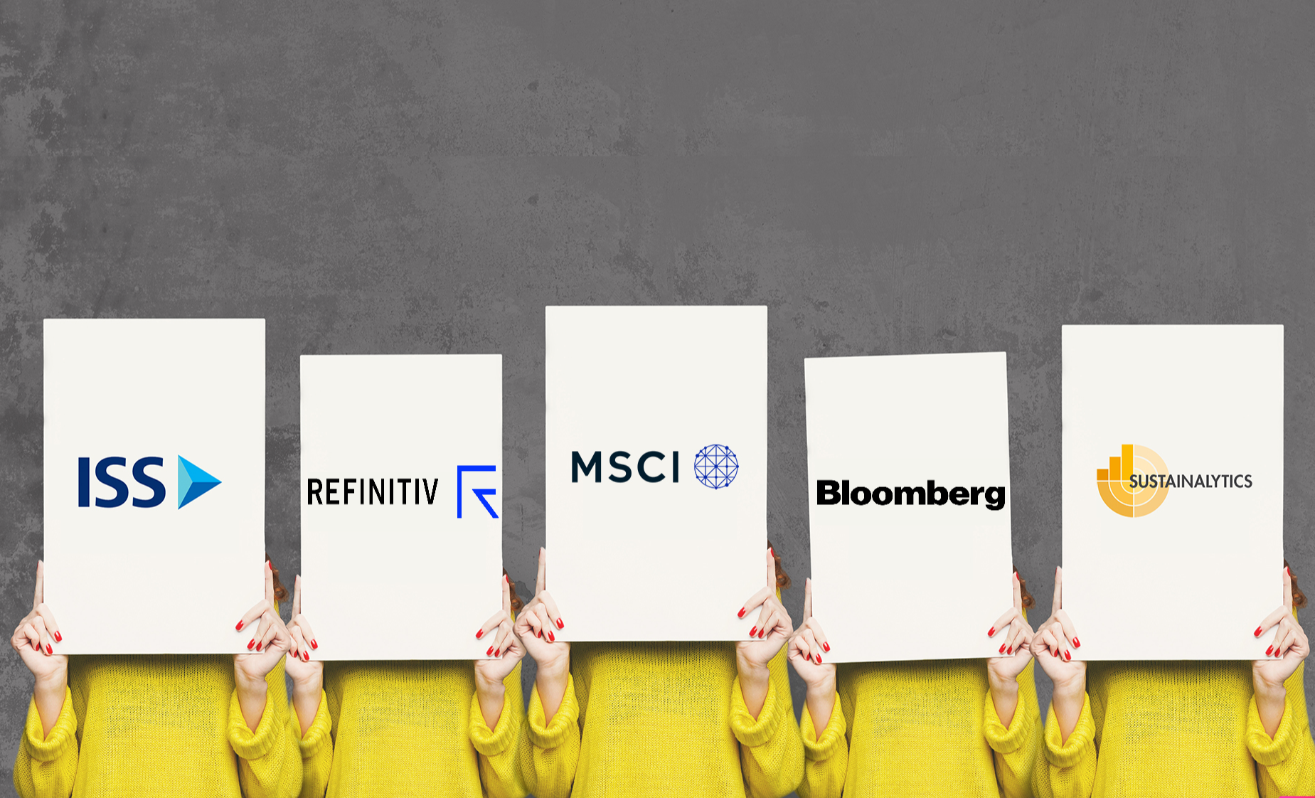 ESG Ratings Agencies: MSCI, Morningstar, Bloomberg, LSEG
