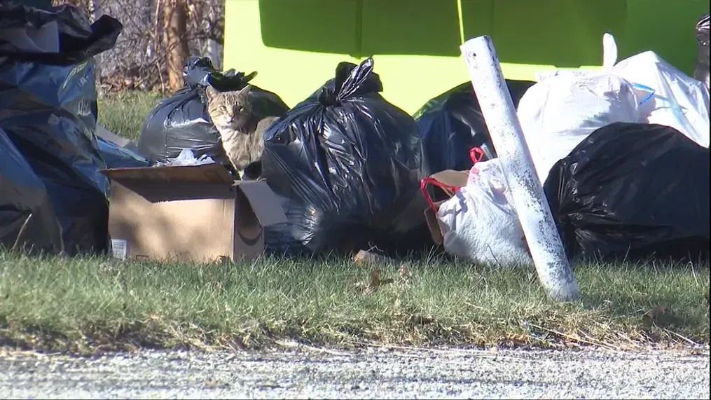 Americans Only Recycle 21%, Report Shows