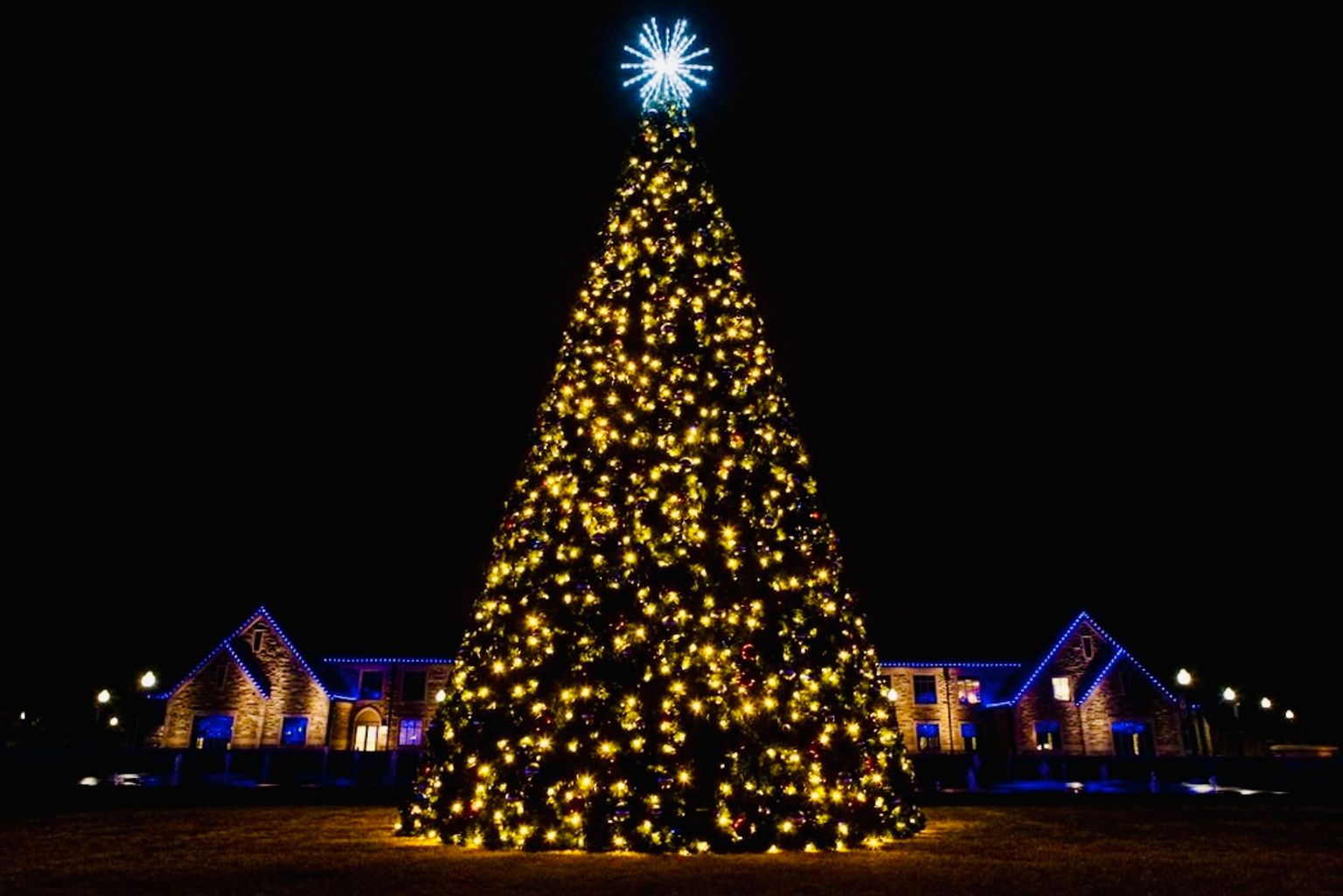 Oversized Pre-Lit Christmas Tree, 14' - 100'+