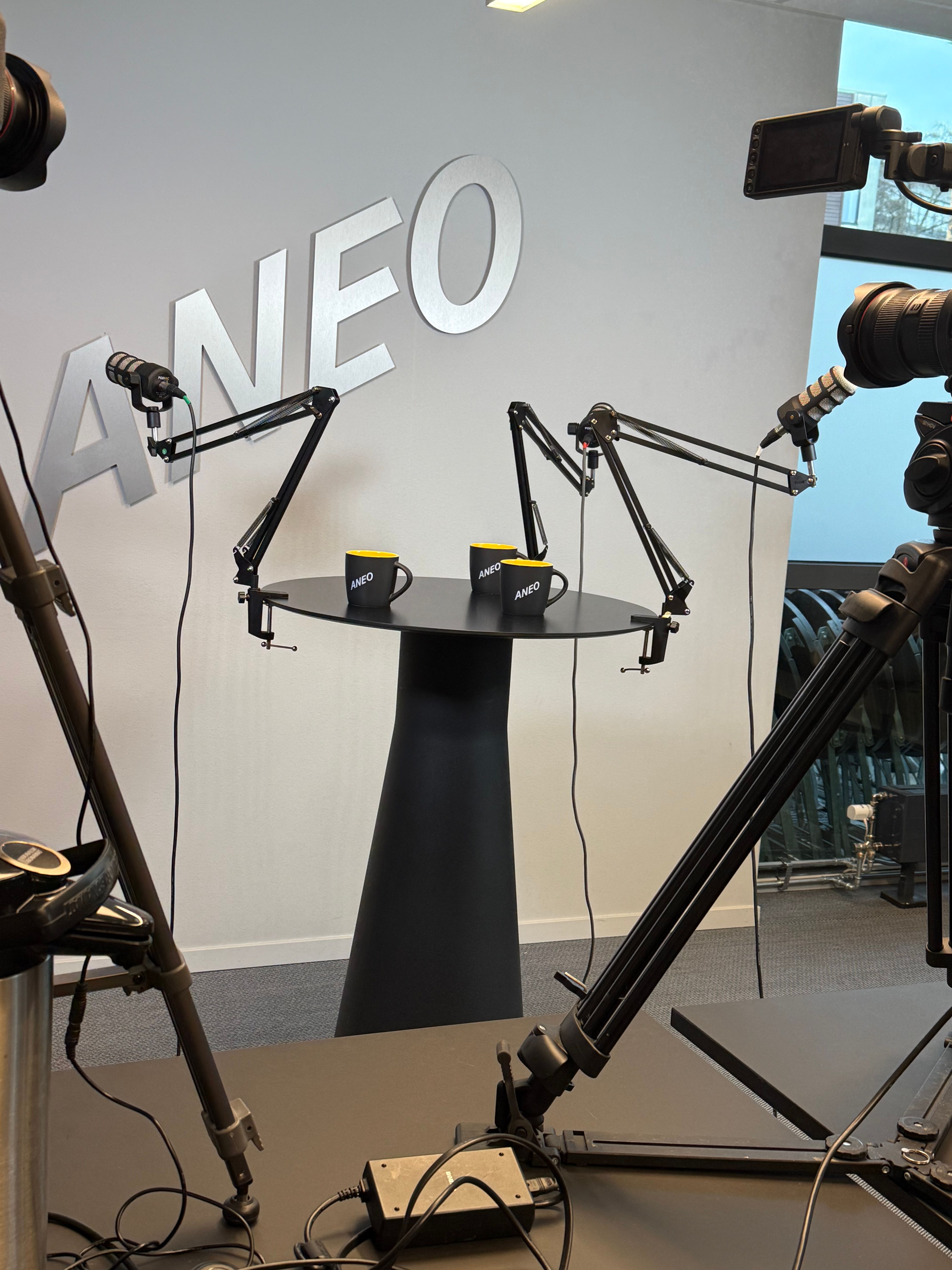 ANEO Mobility | Podcast, Ladespesialisten