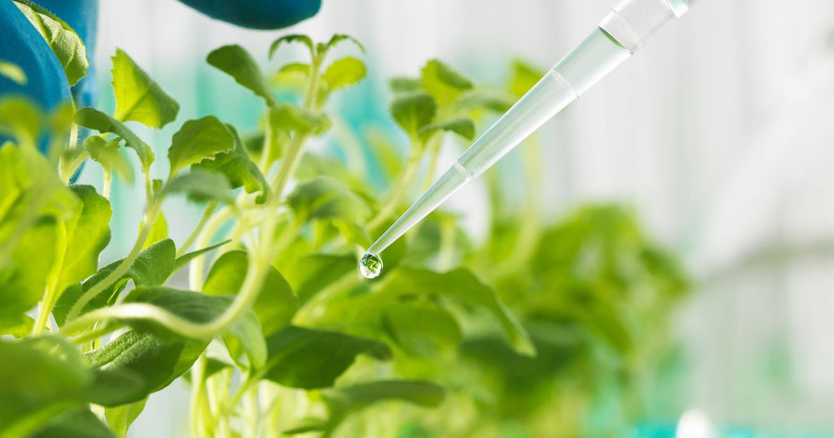 Building a globally recognised AgTech ecosystem in Australia | United ...