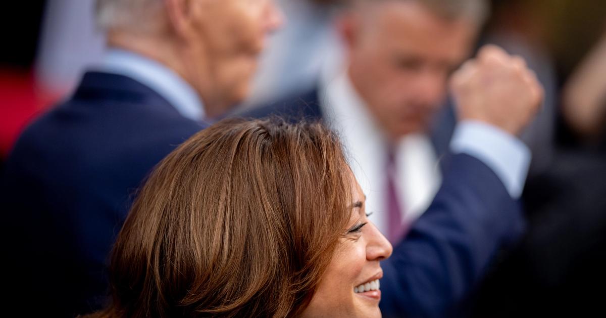 Who could be Kamala Harris' vice-presidential pick? Here are the top ...