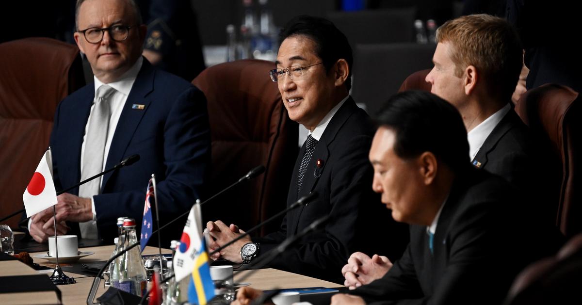Report of the Expert Study Group on NATO and Indo-Pacific Partners ...
