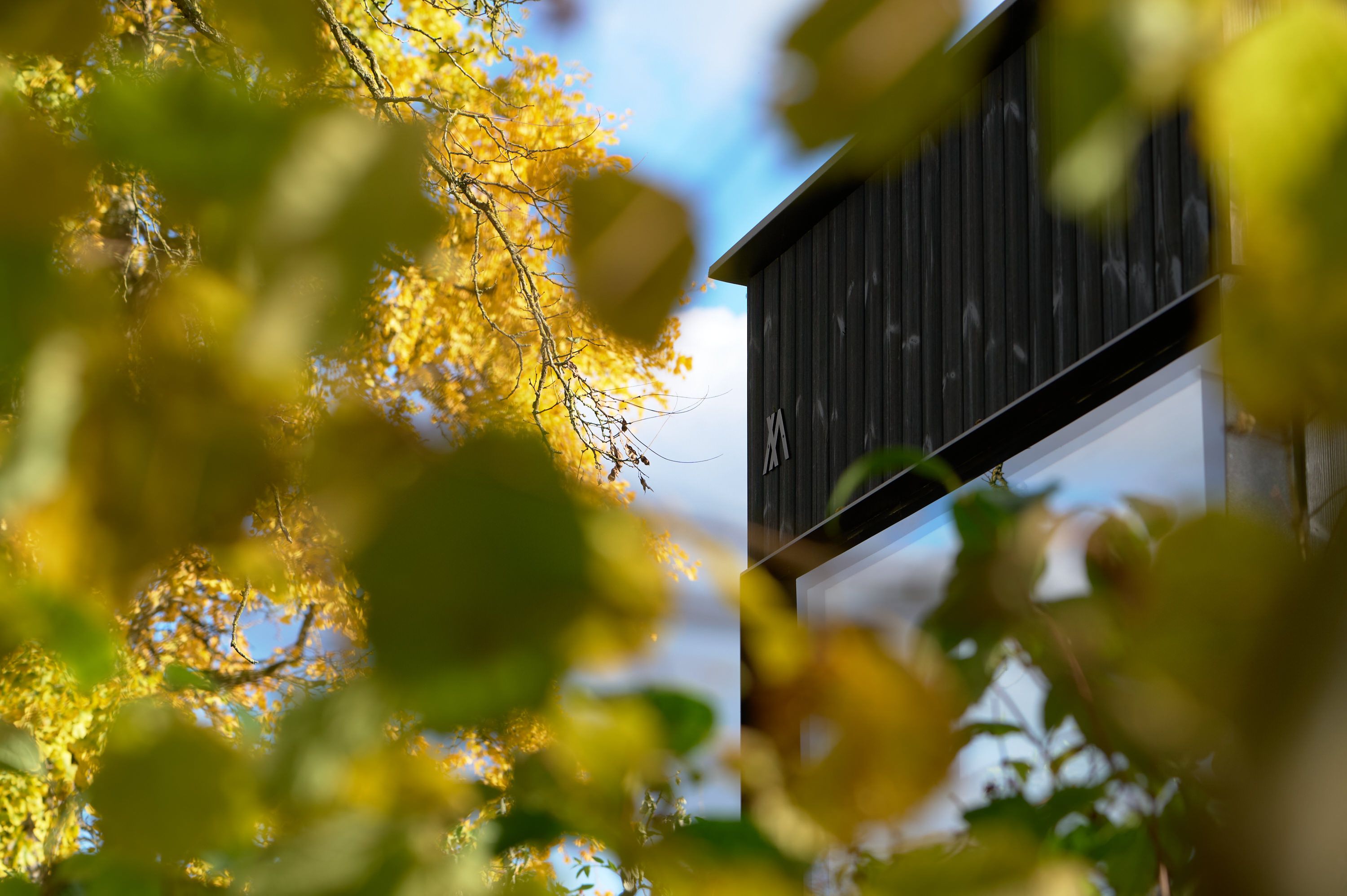 Merula Sauna | Out of the Valley