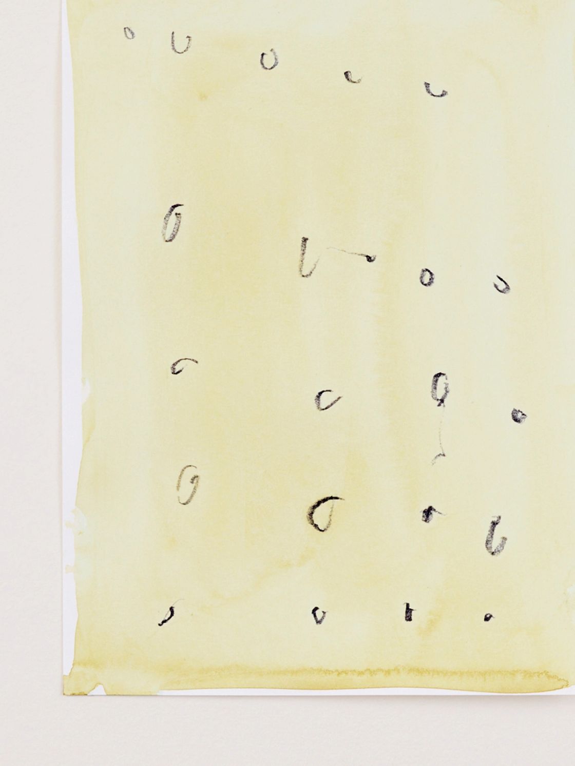 Trackless Forest | Francis Gallery