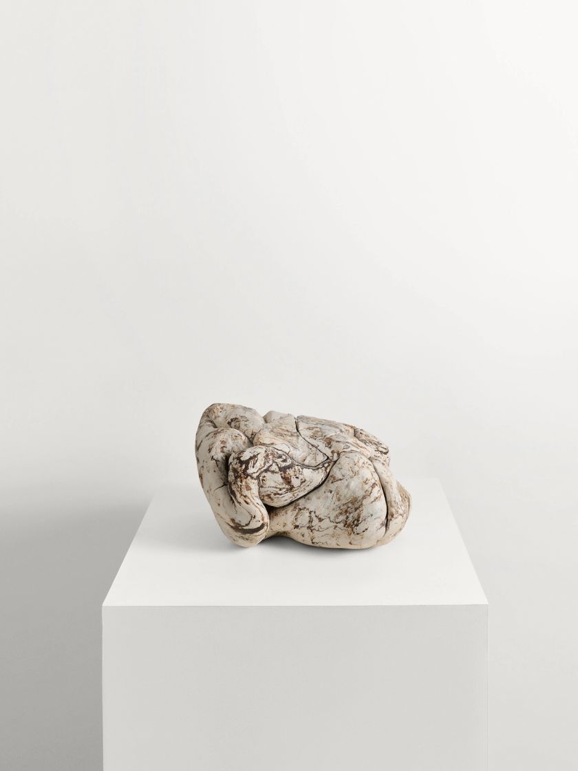 Tara (Salar) | Francis Gallery