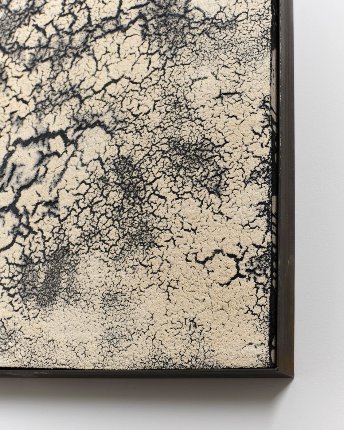 Tara (Salar) | Francis Gallery