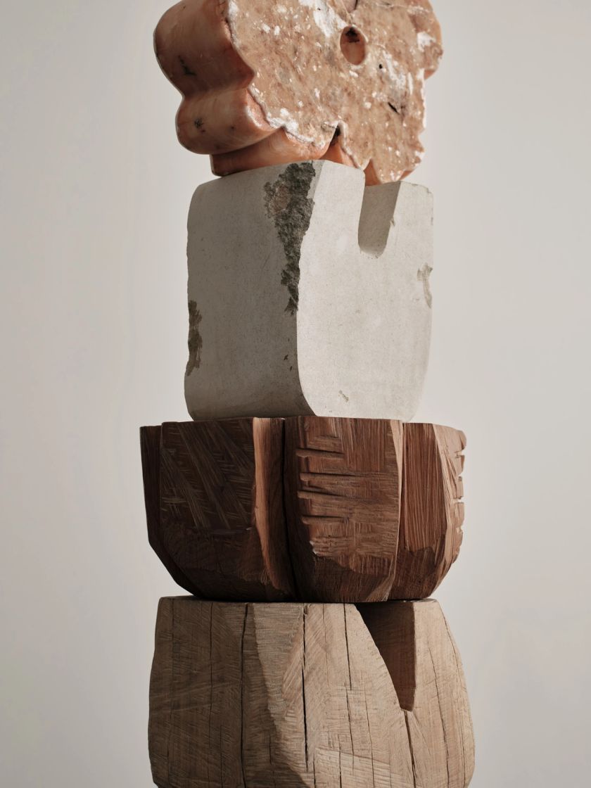 Pink Anemone | Francis Gallery