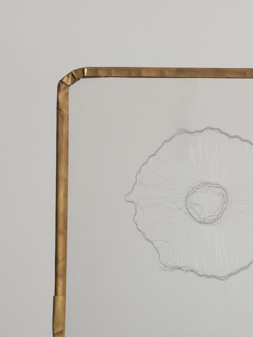 Pink Anemone | Francis Gallery