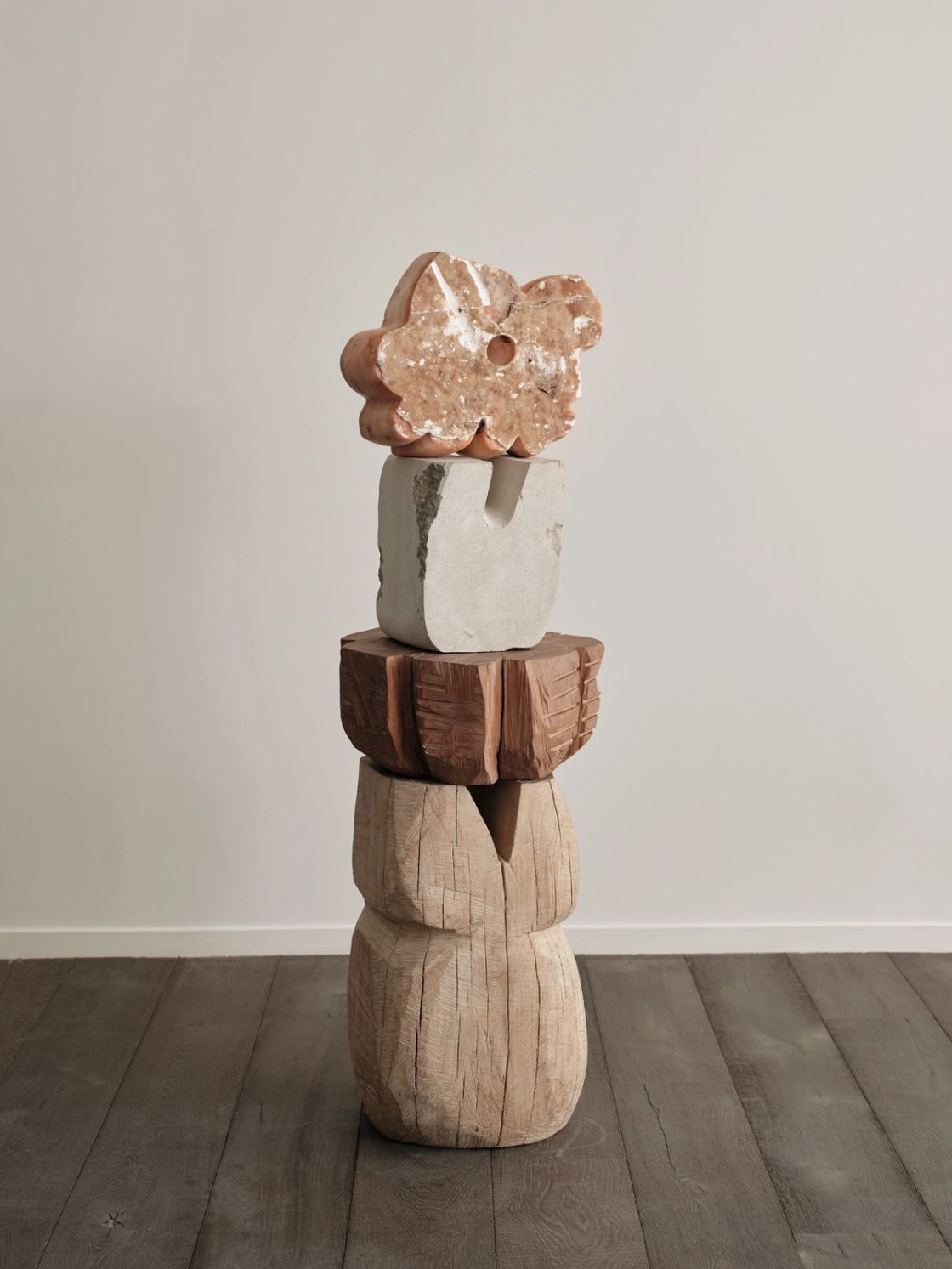 Pink Anemone | Francis Gallery