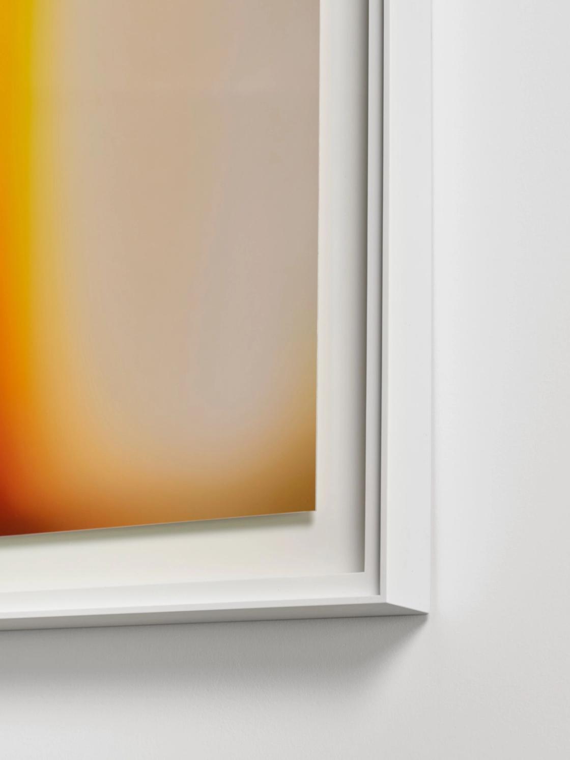 Francis Gallery