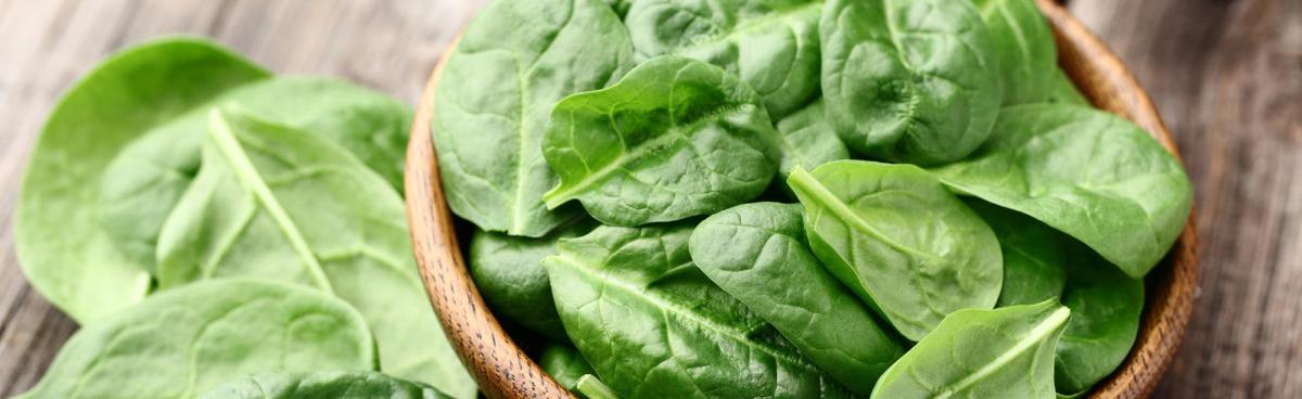 Lebensmittelkunde: Babyspinat | biomarkt.de