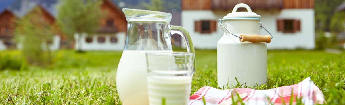 Lebensmittelkunde: Bio-Milch | denns-biomarkt.at