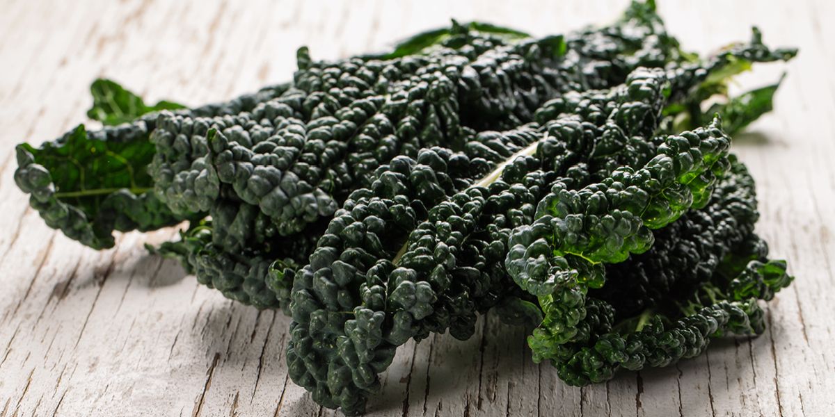 Lebensmittelkunde: Schwarzkohl – Bio, nachhaltig & regional | BioMarkt ...