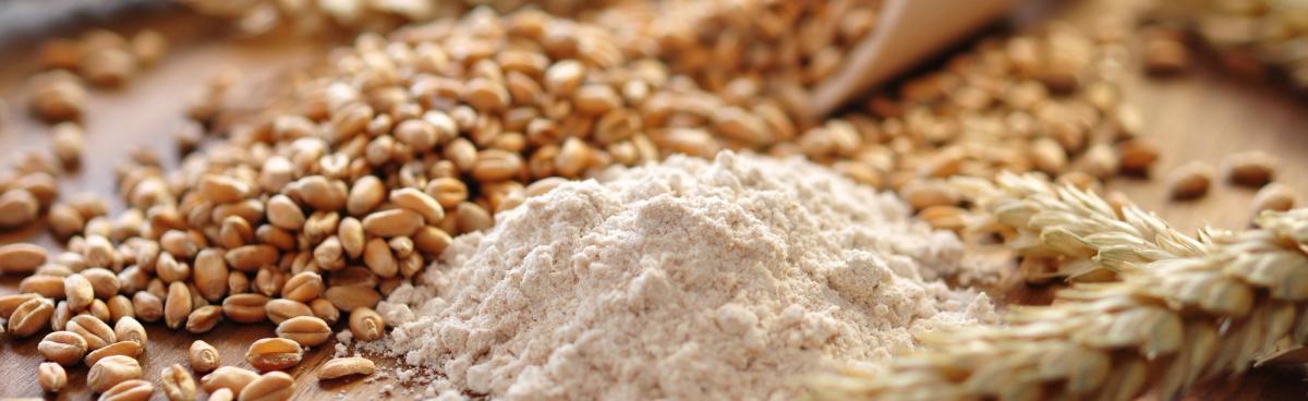 Lebensmittelkunde: Mehlkunde | biomarkt.de