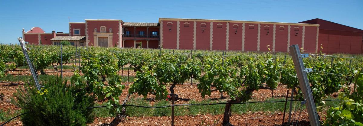 Hersteller: Parra Family Organic | biomarkt.de