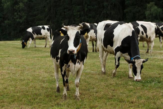 50 Jahre dennree: Bio-Pionier seit 1974 | biomarkt.de