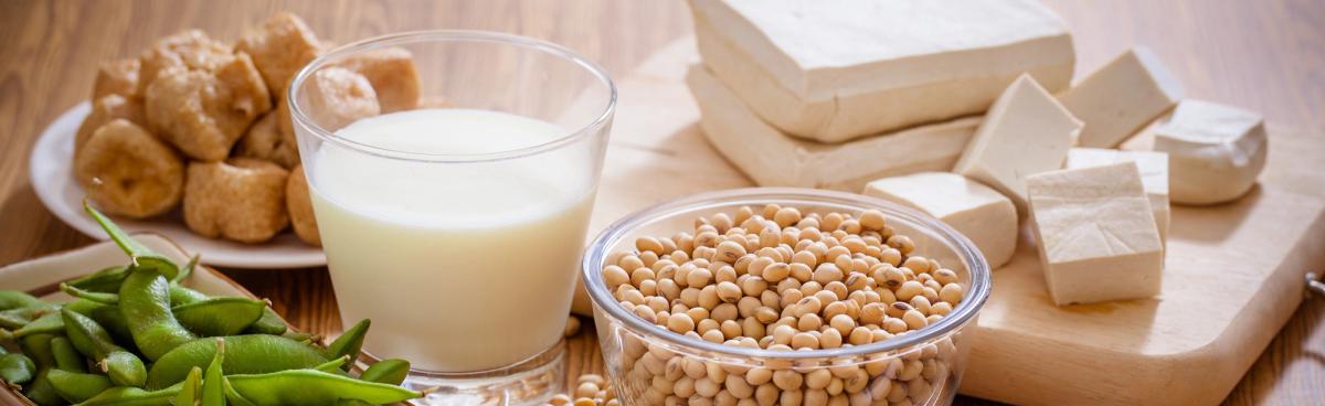 Lebensmittelkunde: Tofu – Herstellung, Verwendung und Zubereitung ...