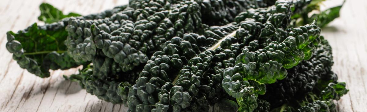 Lebensmittelkunde: Schwarzkohl | biomarkt.de